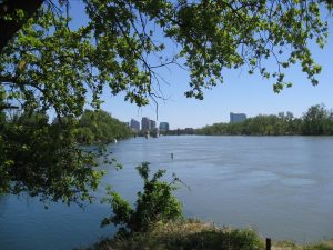 Best Natomas Restaurants 2024 - Sacramento Top 10