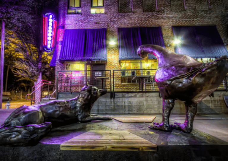 Fox and Goose 50th Anniversary - Sacramento Top 10